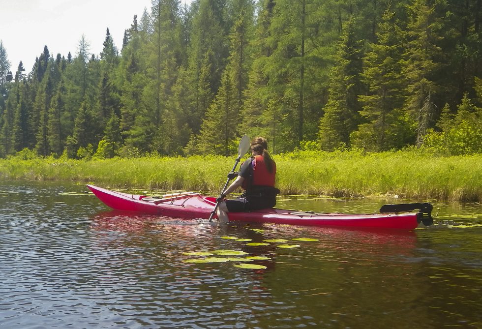 Everything You Need To Know About Aquatic Habitats Kayaking